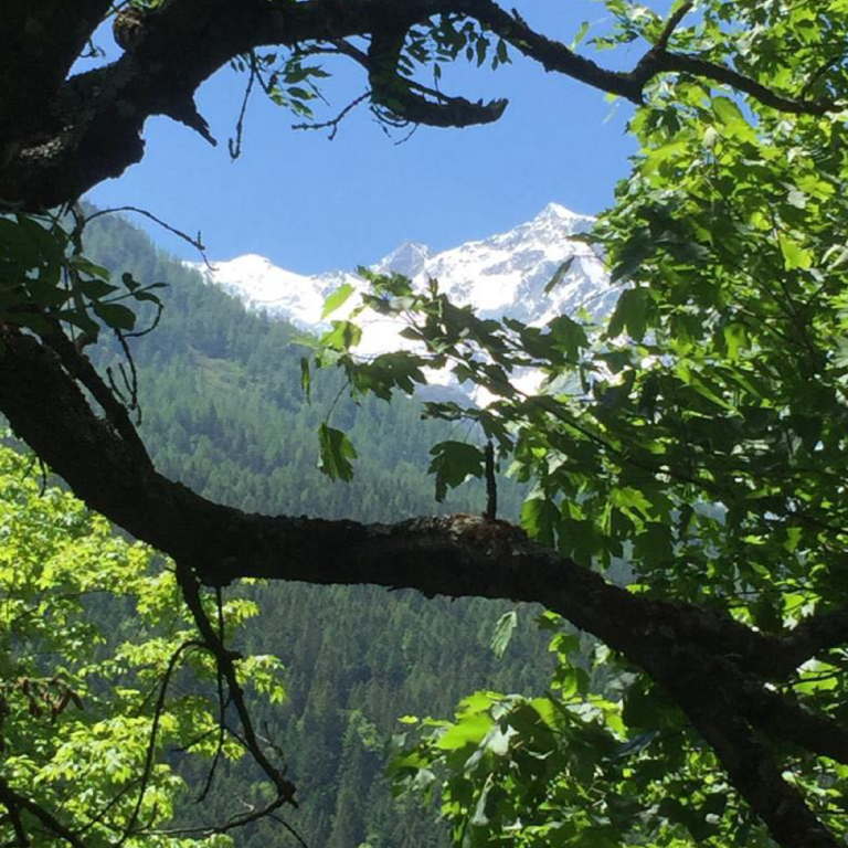 Home | Monterosa Ski Resort | Italy